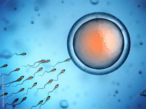 Sperm Cell Discovery Institute
