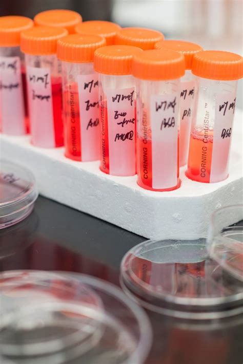 Biomedical Test Tube Institute For Biomedical Sciences