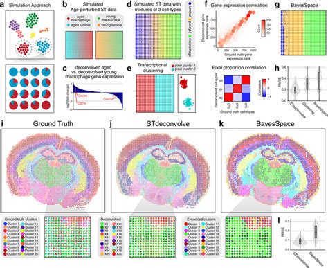 Comparing Clustering Versus Deconvolution Analysis For St Data A Download Scientific Diagram