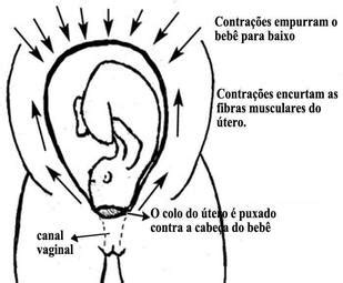 Category Dilatação Se Informa Mãezinha