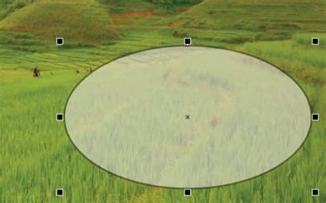 Adding And Editing Text Corel Discovery Center