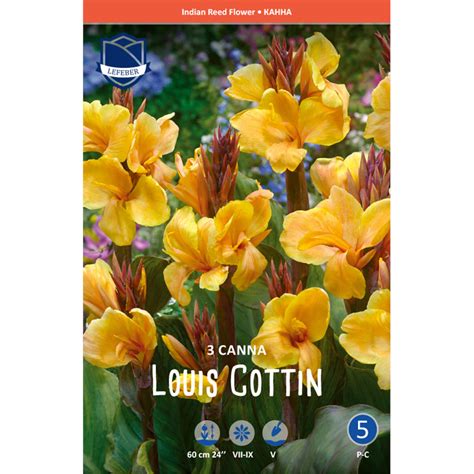 Канна Луис Коттон