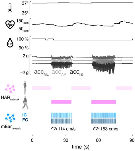 Mobile Spatiotemporal Gait Segmentation Using An Ear Worn Motion Sensor And Deep Learning
