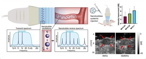 Nonlinear Frequency Mixing Ultrasound Imaging Of Nanoscale Contrast Agents Ieee Transactions