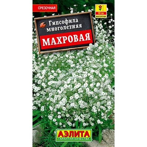 Купить Гипсофила Махровая многолетняя недорого по цене 27руб.|Garden-zoo.ru