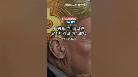 트럼프 비트코인 팔지마라고 해 왜 트럼프 비트코인 팔지마 왜 Trump Bitcoin Dont Sell Why Youtube
