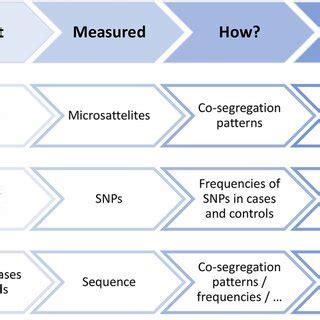 Overlap Of PRS Between Cases And Controls Typical Density Plot To Show Download Scientific