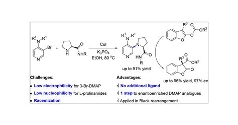 Cu Catalyzed N Arylation Of Prolinamides Access To Enantioenriched Dmap Analogues And Its Cu Catalyzed N Arylation Of Prolinamides Access To Enantioenriched Dmap Analogues And Its
