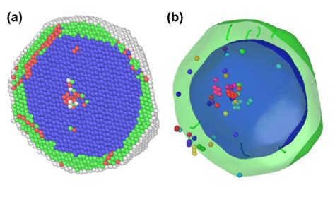 Snapshots After Defect Recombination For 5 Kev At~ 98 Ps A Only Download Scientific