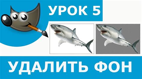 Как убрать белый фон и сохранить в формате Png Gimp 2 Урок 5 Youtube