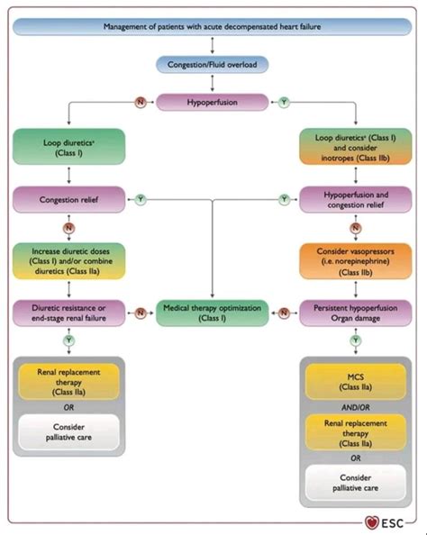 Dr Ahmed Samir On Linkedin Sharing