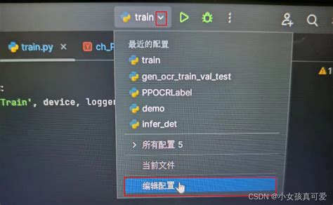 paddleocr训练自己模型（2） 参数配置及训练 paddleocr det cls rec模块 csdn博客