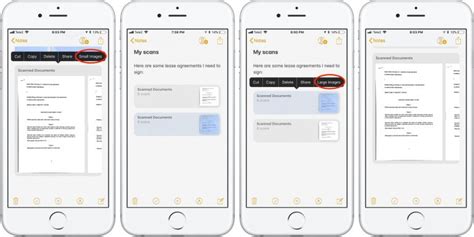 How To Scan Documents In The Notes App