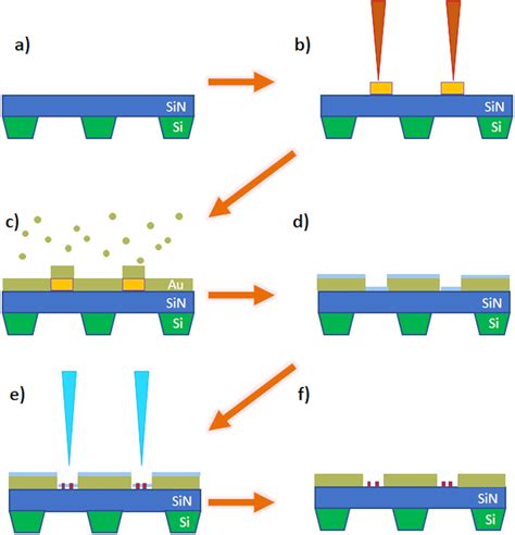 Schematic Diagrams Showing A A Fresh Device B Ebl And A Developed