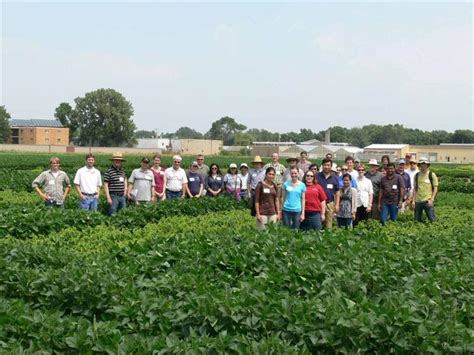 Soybean Mutant Finder Field Day 2012 Stupar Lab