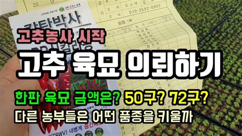 간단한 고추 육묘 방법 육묘 단가와 다른 농부들은 어떤 고추를 키울까요 Youtube