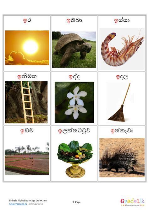Alphabet Cards Sinhala Artofit
