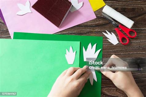 5단계 명령 봄 꽃 크로커스와 어머니의 날을위한 인사말 카드 수제 종이 공예 아이디어 어린이의 창의력 공예 어린이를위한 공예의 프로젝트 개념에 대한 스톡 사진 및 기타