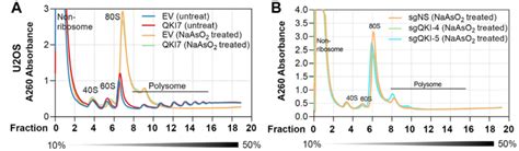新品上市 Polysome Seq翻译组测序，评估翻译效率的“黄金标准” 知乎