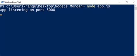 Learn Morgan Request Logger For Nodejs Raddy