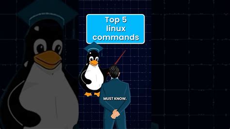 Top 5 Linux Commands Youtube