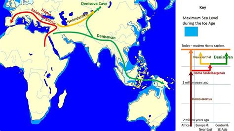Denisovan Wikipedia