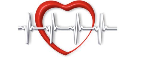 ექთნის ბინაზე მომსახურება Facebook