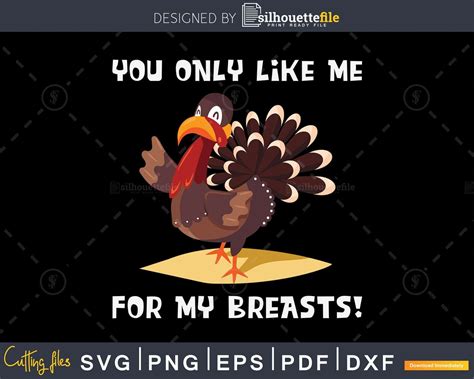 You only like me for my breasts svg cricut craft download files | Silhouettefile