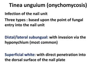 Dermatophyte Infection 2 Pptx