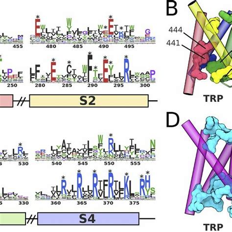 Single Site Statistics Of The Trp And Kv Pore Domain A Aligned