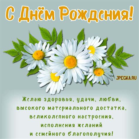 Открытки с Днём Рождения с ромашками: 50 красивых картинок