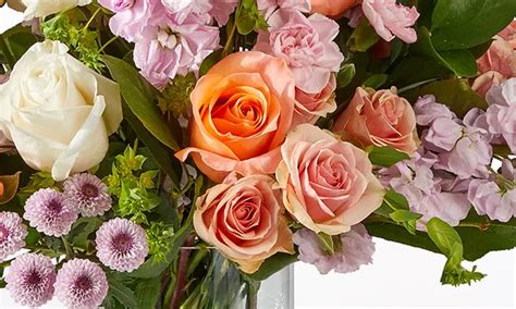 Beautiful Flowers Deals Up To 70 Off