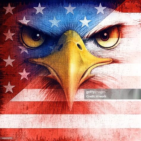 Bald Eagle With Usa Flag High Res Vector Graphic Getty Images