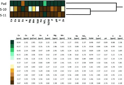 a dendrogram and heat map of the one way hierarchical clustering with