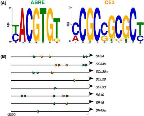 Ijms Special Issue Pre Mrna Splicing