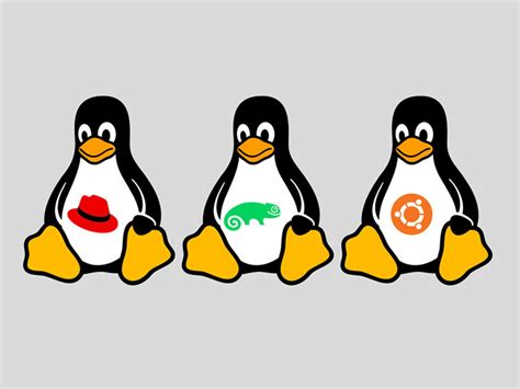 Linux Operating System Services For Every Platform