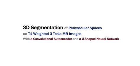 D Segmentation Of Perivascular Spaces On T Weighted Tesla MR Images With A Convolutional