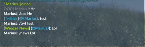 [help] [concluded] my server gets duplicated text server discussion