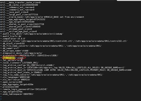 Oracle【容灾篇】02：oracle19c Adg 搭建步骤oracle Adg Csdn博客