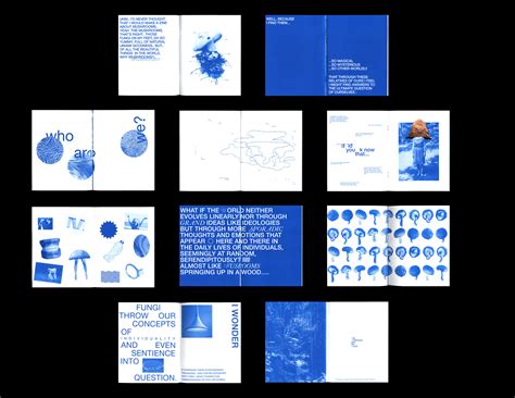 Me Mushroom And The World Zine Mary Kim Booklet Design Book