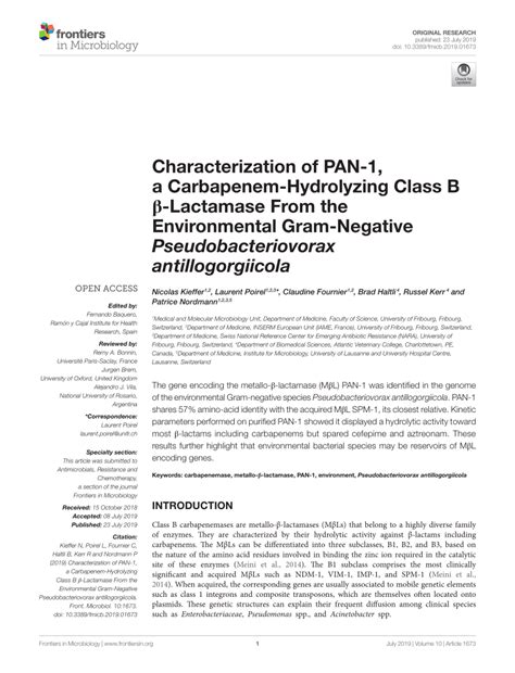 Pdf Characterization Of Pan 1 A Carbapenem Hydrolyzing Class B β