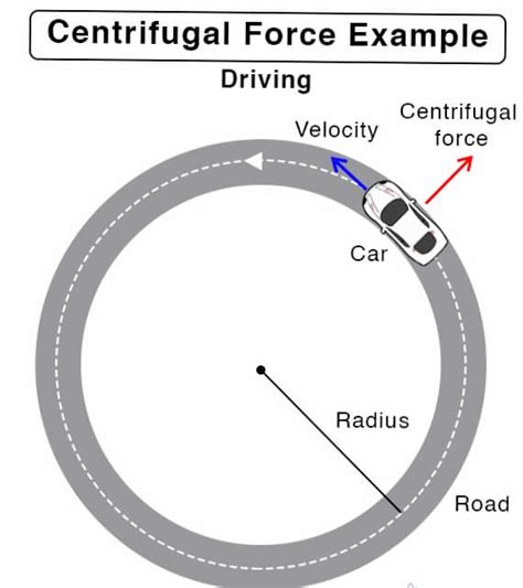 Centrifugal Force Diagram Centripetal Force Pendulum Form