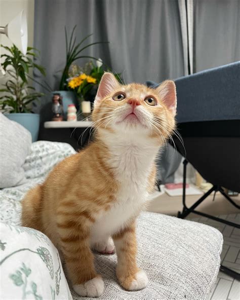 ¸♡룽지 무지♡¸ • Mu Rongji • Instagram Photos And Videos