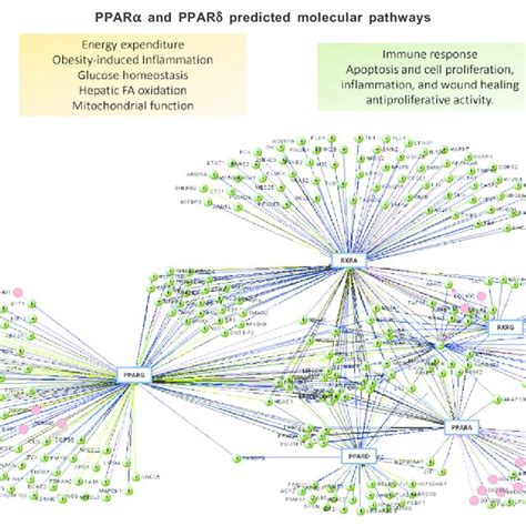 Computational Prediction Of Protein Protein Interaction Was Performed