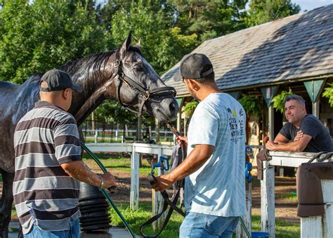 Arcangelo Proves Quite Popular At Saratoga After Travers Victory Americas Best Racing