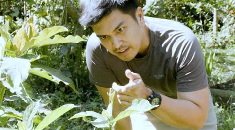 Pythons In Captivity On Born To Be Wild GMA News Online