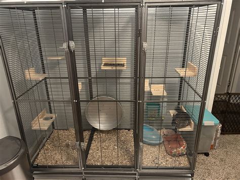 Big Chinchilla Cages