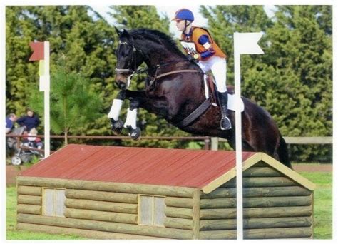 Britt Holmberg Following Her Passion By Elke Holmberg Medium