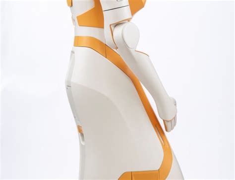 Spring Ari Robot Specifications Spring Socially Pertinent Robots In Gerontological Healthcare