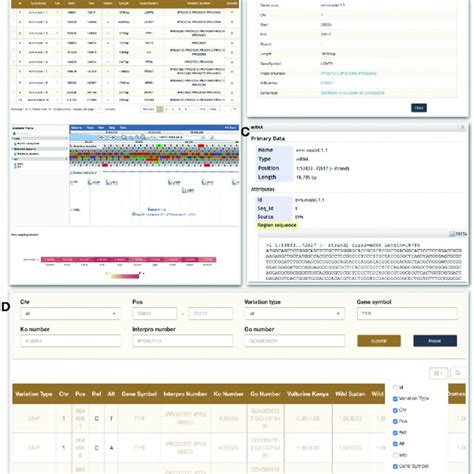 Gene And Variation Modules A Gene Search Module B Click On Download Scientific Diagram